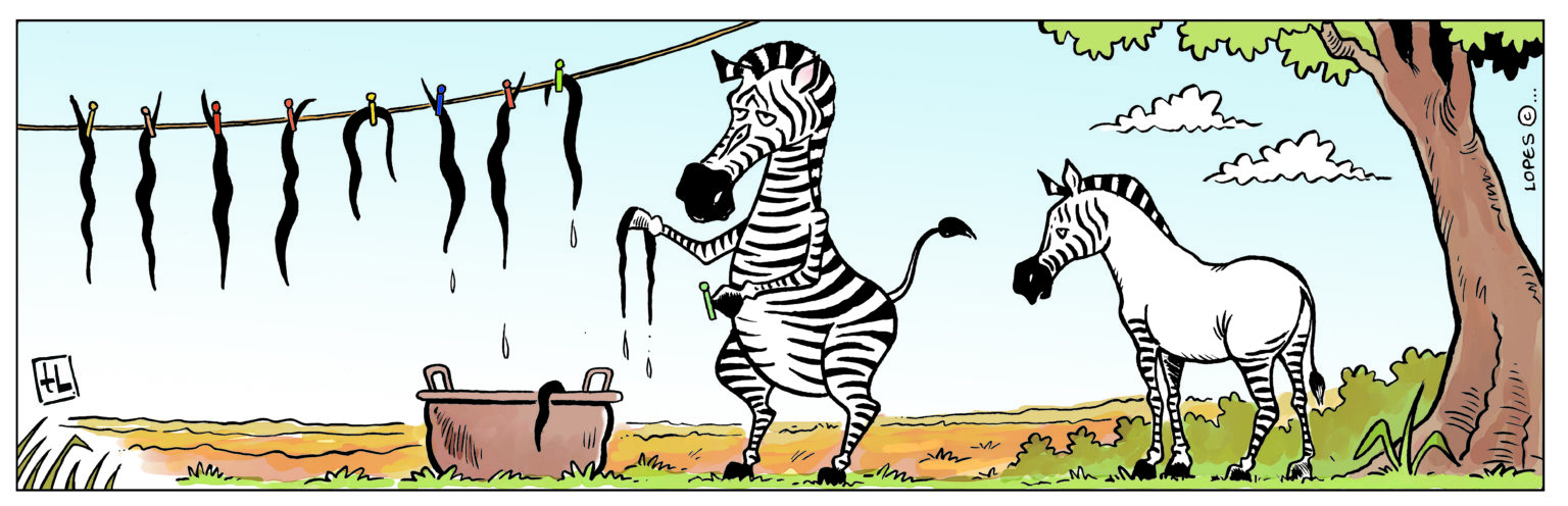 Gallery – Tony Lopes