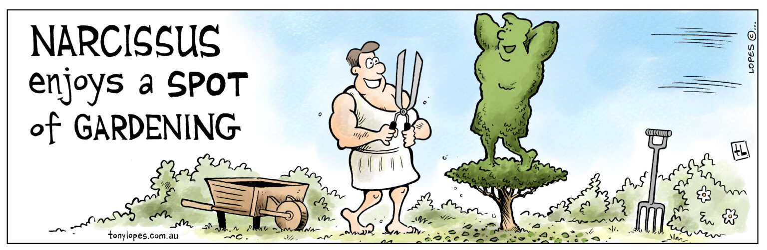 Gallery – Tony Lopes