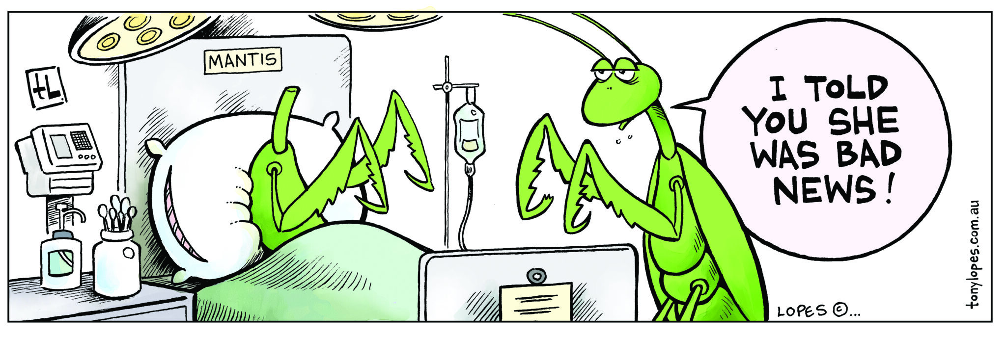 Gallery – Tony Lopes